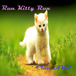 Run Kitty Run Clan AKR No Cinematic - Warcraft III Maps