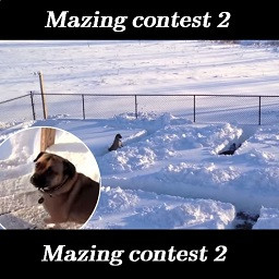 Mazing Contest v2.8 - Warcraft III Maps