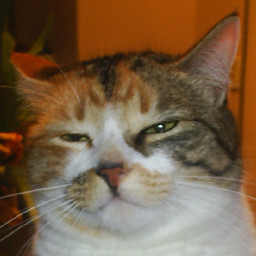 Footman Wars Advance v1.13 - Warcraft III Maps